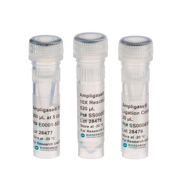 Ampligase® Thermostable DNA Ligase - GeneTarget Solutions