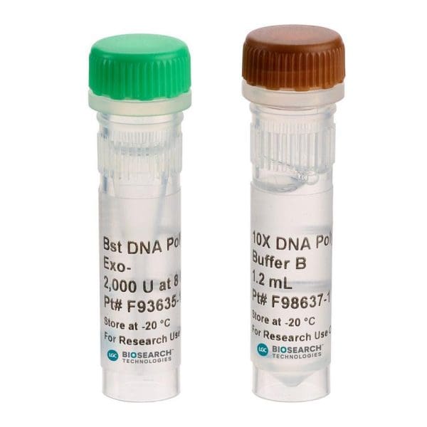 Bst DNA Polymerase, Exonuclease Minus - GeneTarget Solutions