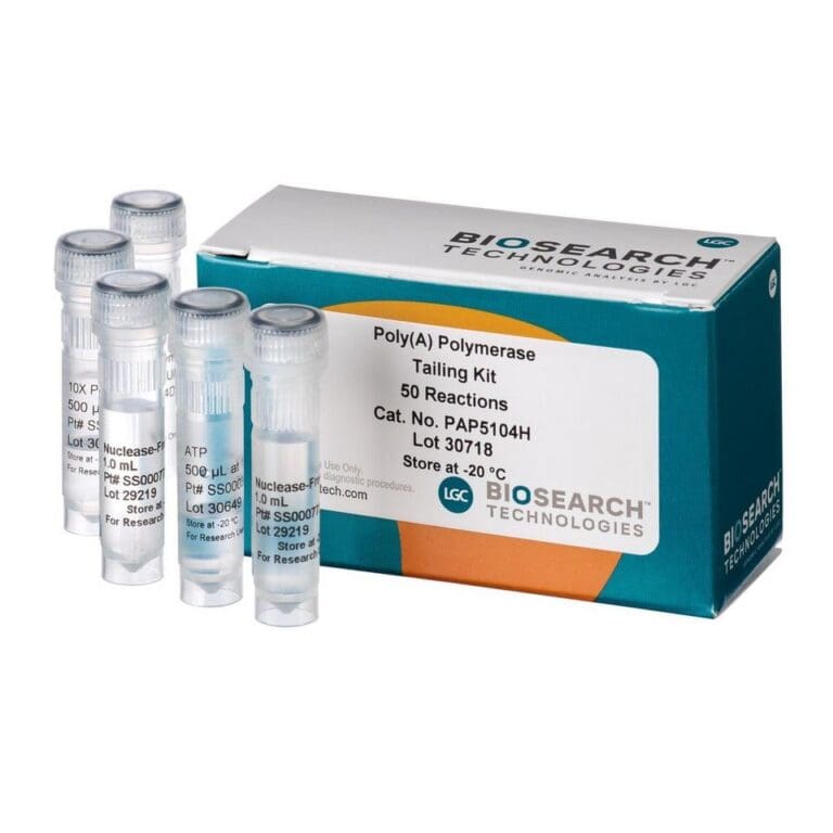 Poly(A) Polymerase Tailing Kit - GeneTarget Solutions