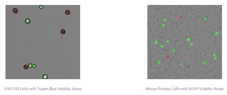 Denovix CellDrop Assays - Optimized for CellDrop™ Cell Counting ...