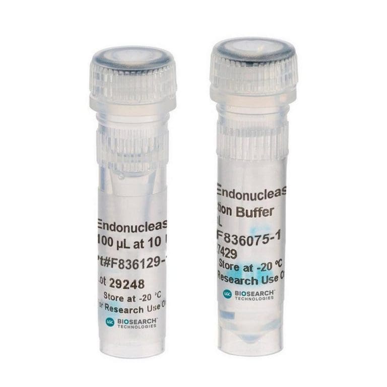 Endonuclease VIII - GeneTarget Solutions