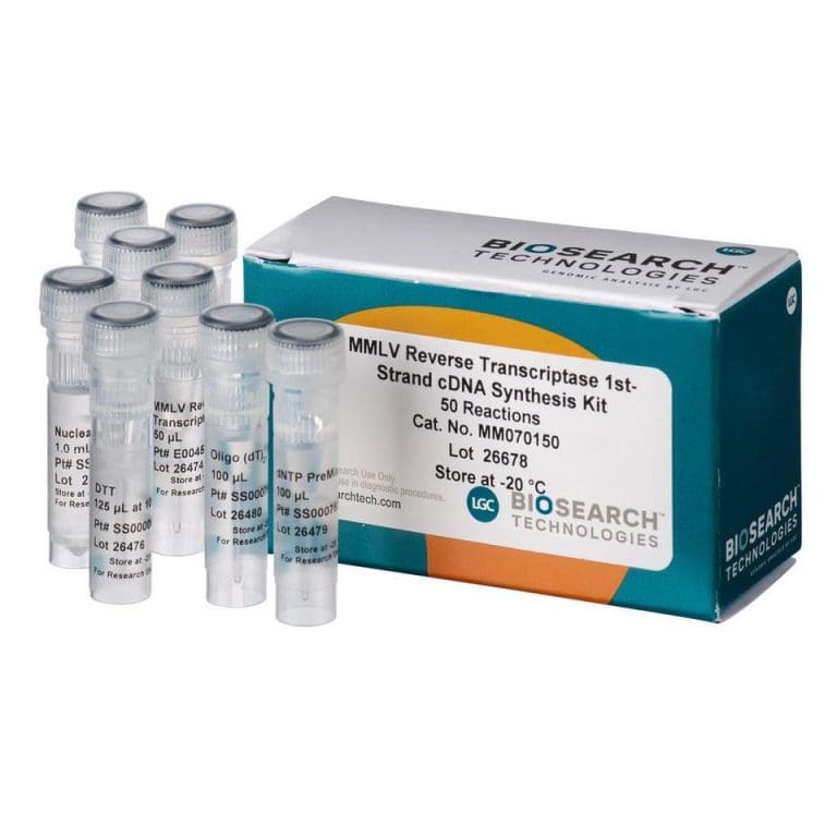 MMLV Reverse Transcriptase 1st-Strand cDNA Synthesis Kit - GeneTarget Solutions