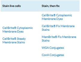 Biotium | Guide for Selecting the Right Cell Surface Stain - GeneTarget ...