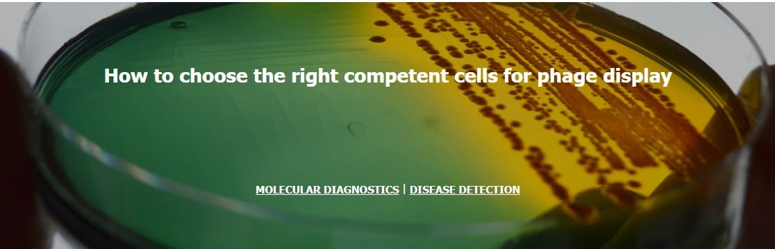 Lucigen | How to choose the right competent cells for phage display ...